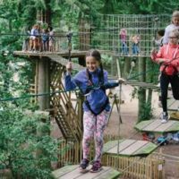 GO APE - Tree Top JUNIOR at Beechenhurst Lodge